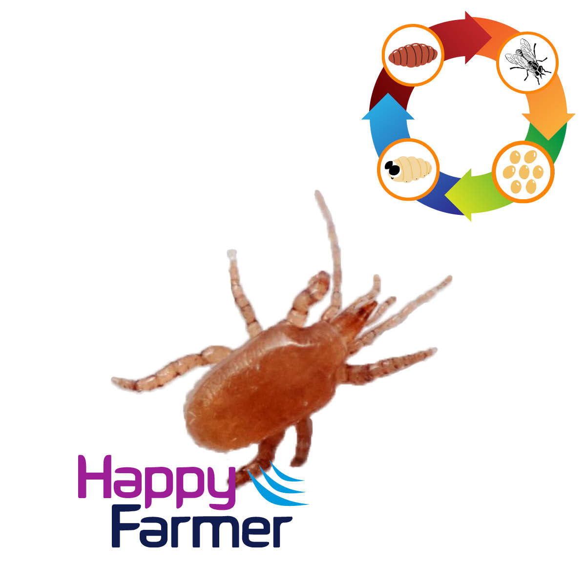 Agra Predatory mite 250m² Barn supplies • HappyFarmer.NL • Milking ...